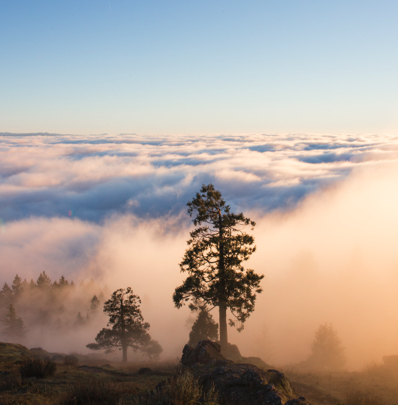 The Hyperion Fund – Le Mans Trading